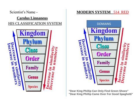 Pdf Unit 7 Classification Wfile