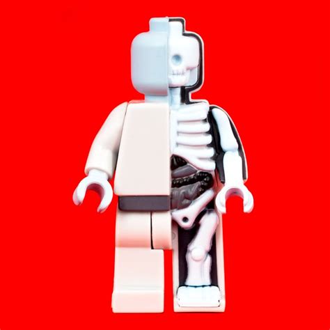 Limagerie — Jason Freeny Micro Anatomic Last One