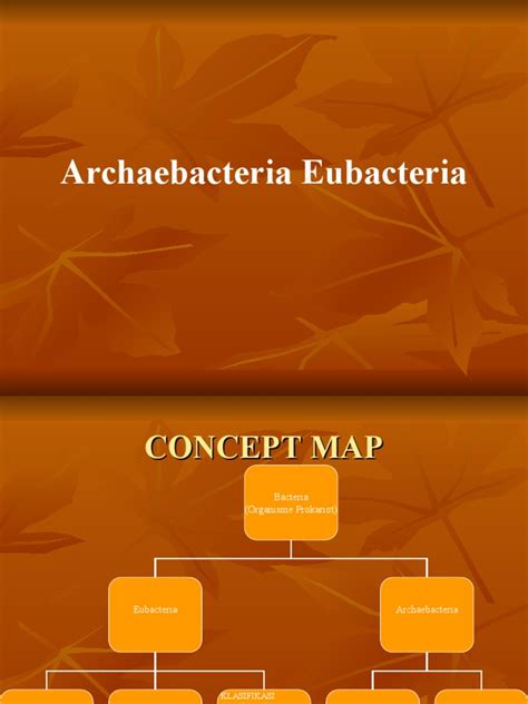 Eubacteria And Archaebacteria Pdf
