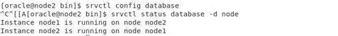 Connectivity How To Connect To Oracle RAC From HOST Database Administrators Stack Exchange