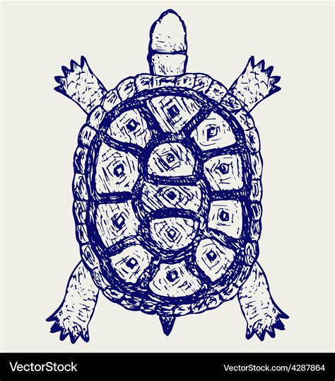 Land Turtle Royalty Free Vector Image Vectorstock