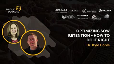Dr Kyle Coble Optimizing Sow Retention Ep 185 Youtube
