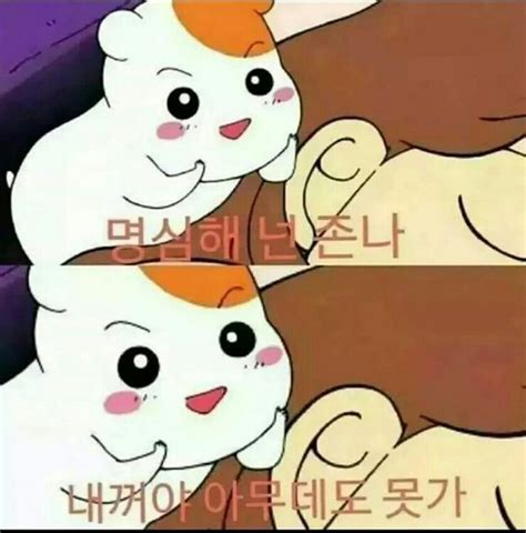 카카오톡짤카톡짤짤모음집대화짤카톡대화짤카톡커버짤카톡프사짤 애니메이션 일기장 웃긴