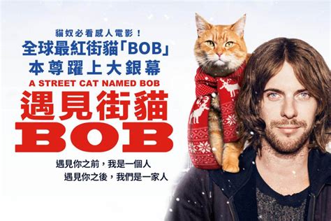 遇見街貓bob 電影線上看 Friday影音