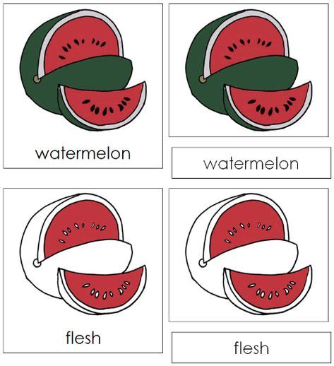 Flower Nomenclature Cards Parts Of A Flower Montessori Materials