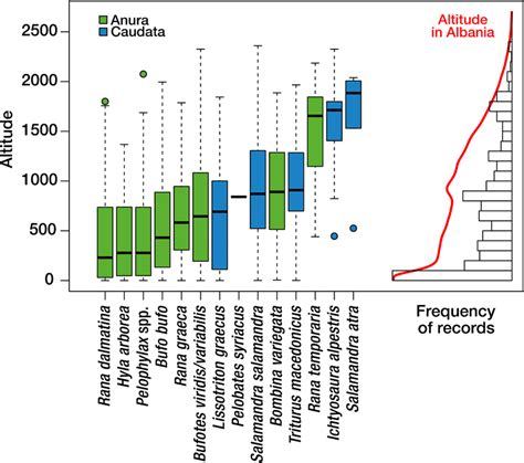 Altitudinal Distribution Of Amphibian Species And Frequency Of