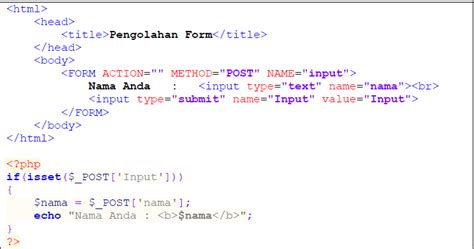 Php Input