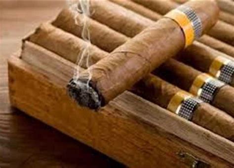 السجائر أم السيجار أيهما أكثر أمانًا؟ المصري اليوم