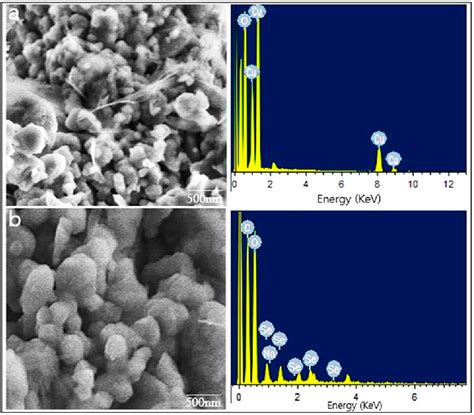 Figure 2 From Biogenic Synthesis Of Selenium And Copper Oxide