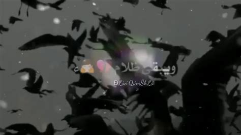 تبكي الطيور وائل كفوري اجمل حالات واتس اب Youtube