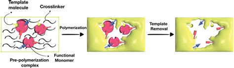 Schematic Illustration Of The Molecular Imprinting Technology The Download Scientific Diagram
