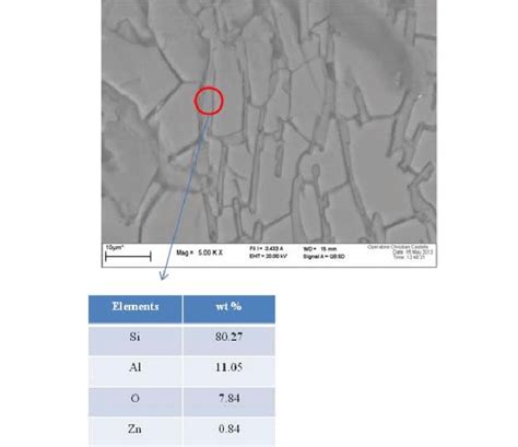 Sem Microstructure And Eds Results Of The Transverse Cross Section Of