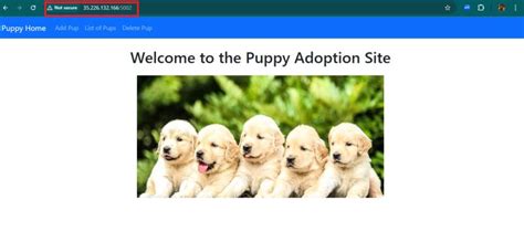 Gcp Docker Container Kumar Gaurav
