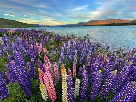 Irkuckpl Irkuckpl Added A New Photo