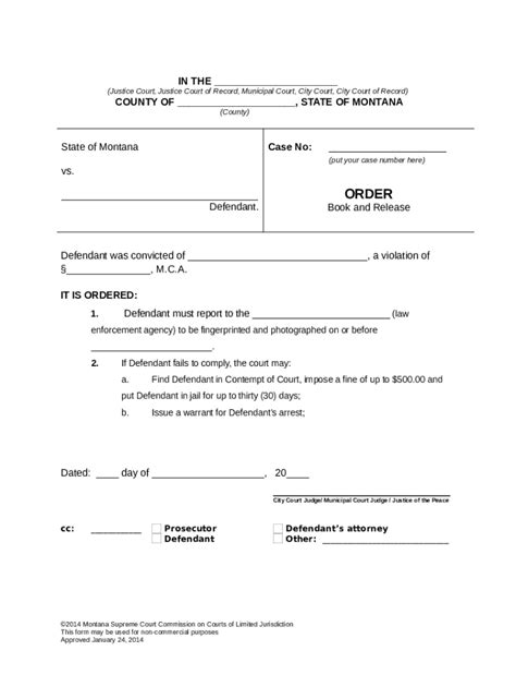 Put Your Case Number Here Courts Mt Doc Template Pdffiller