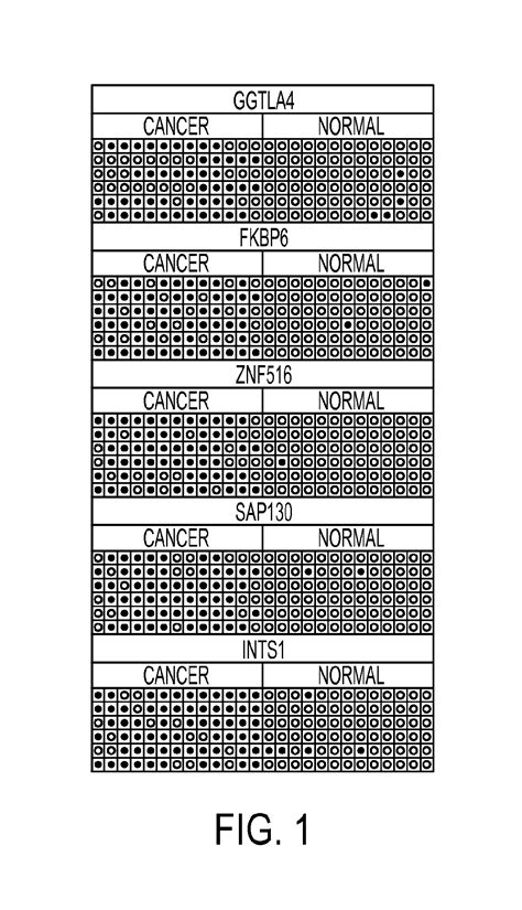 Hypermethylation Biomarkers For Detection Of Cervical Cancer Eureka