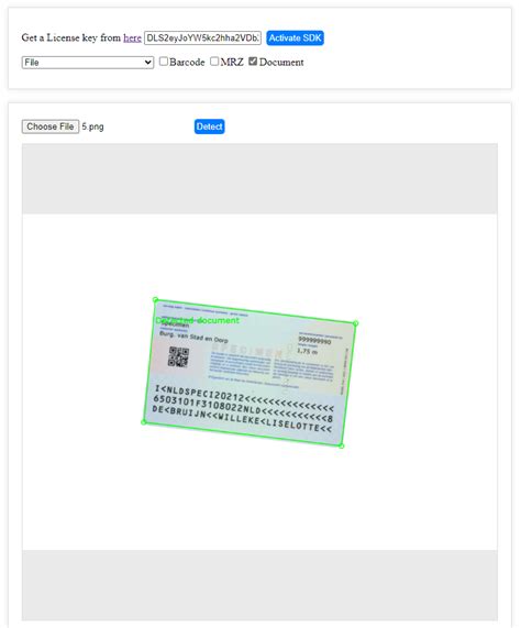 How To Build A Web App To Scan Barcode Document And Mrz With Javascript Apis Dynamsoft
