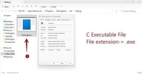 C Program Files Formats TestingDocs Com