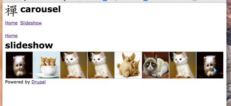 Javascript Responsive Jcarousel Doesnt Resize Images Drupal Answers