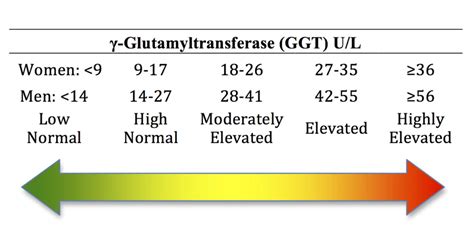 High Ggt Levels Heres What This Liver Enzyme Test Means And How To F