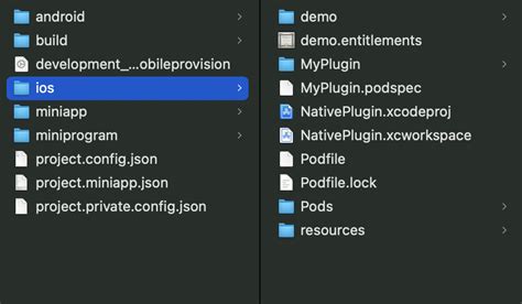 Ios 插件依赖动态库 微信开放文档