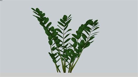 Kim Tiền 3d Warehouse