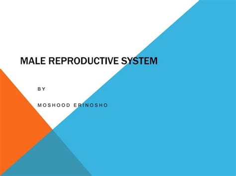Human Reproduction Sex Organs