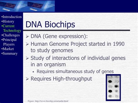 PPT Biochips PowerPoint Presentation Free Download ID 3853894