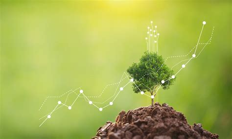 New Teaching Aid Taking The ‘awks Out Of Sex Ed Rmit University