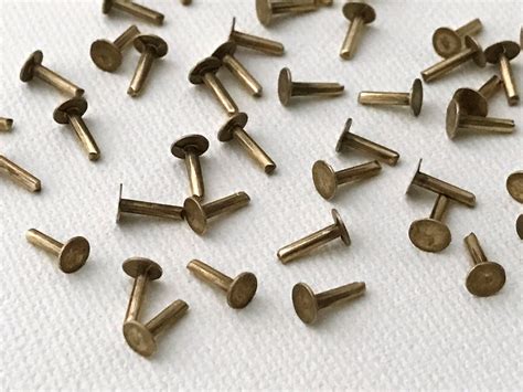14 Solid Brass Rivet 16 G 381 Mm 150 Etsy