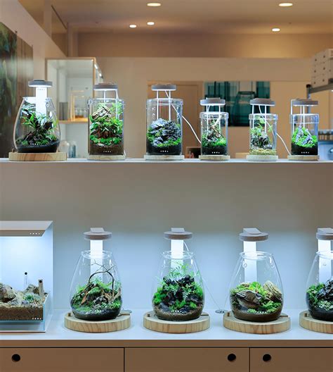 Ada Lab Ssp Ada Lab Aqua Design Amano Laboratory