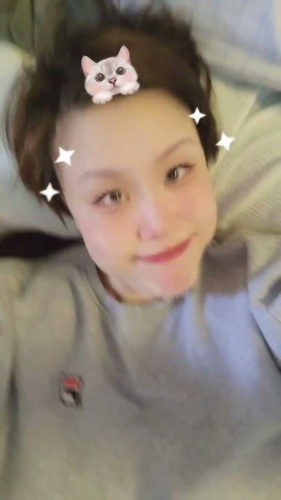 B612 Apps Video Face Expression 1 Adorable Cute Cats On My Real Head