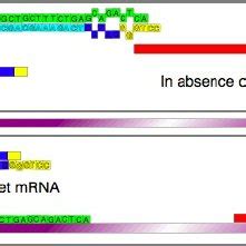 At The Input Module Download Scientific Diagram
