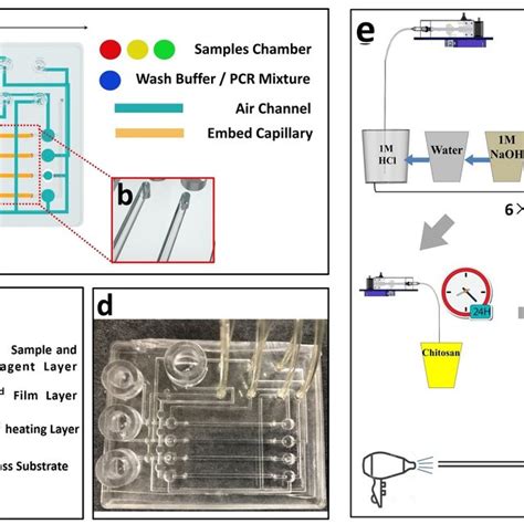 Microfluidic Chip Design A Top View Of The Chip Three Sample