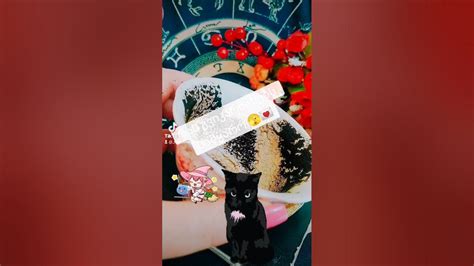 სამყაროს კარნახი შენთვის 💌🃏💯🧿🧚‍♂️👑⭐ ️ ️ Youtube