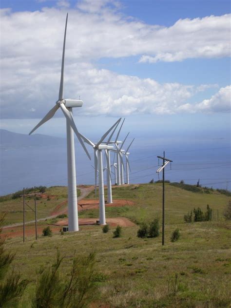 Effective Project Projects