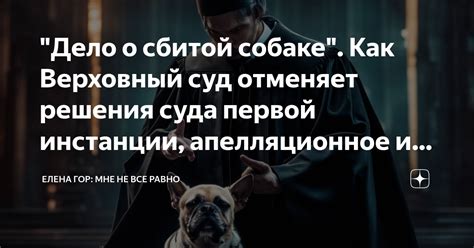 Дело о сбитой собаке Как Верховный суд отменяет решения суда первой