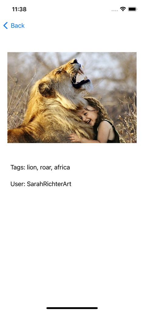 Github Axelasa Adanianlabsios This Is An App That Can Be Used To View Creative Images From