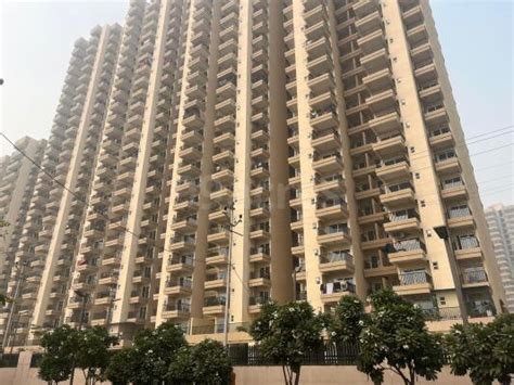 BHK Apartment Flat For Sale In Gaur Yamuna City Yamuna Expressway Greater Noida Sq