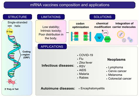Rna Vaccines Yeast As A Novel Antigen Vehicle