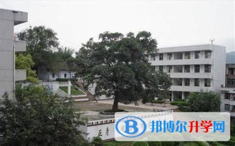 宜宾县白花中学校2024年招生计划