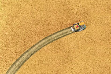 Jayesh Menon On Linkedin Modern Marketing Dilemmas How Should Marketers Stand Up To Recession