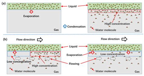 Interface Between Liquid And Gas At Holly Standley Blog