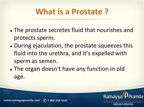 Benign Prostatic Hypertrophy Pdf