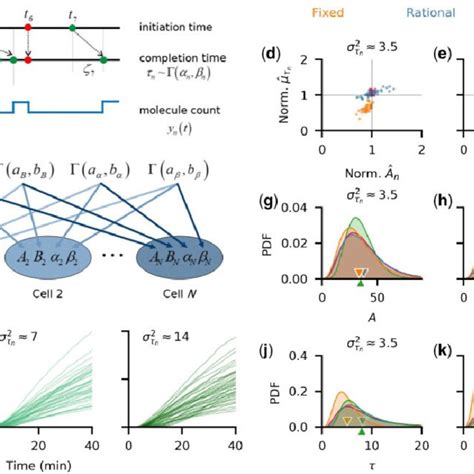Fig S3 Hierarchical Inference Outperforms Non Hierarchical Inference