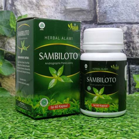 kapsul daun sambiloto isi 60 kapsul kapsul sambiloto inayah kapsul