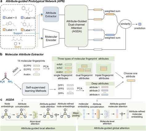 Attribute Guided Prototype Network For Few Shot Molecular Property Prediction Pmc