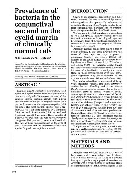 Pdf Prevalence Of Bacteria In The Conjunctival Sac And On The Eyelid