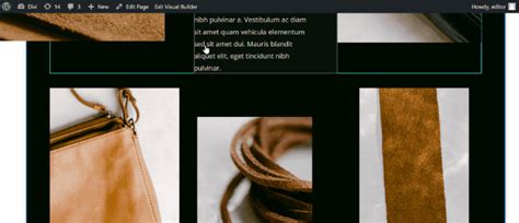 How To Add Hover Effect In Divi Image Module WPPagebuilders
