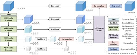 논문 리뷰 Dm Segnet Dual Mamba Architecture For 3d Medical Image Segmentation With Global Context
